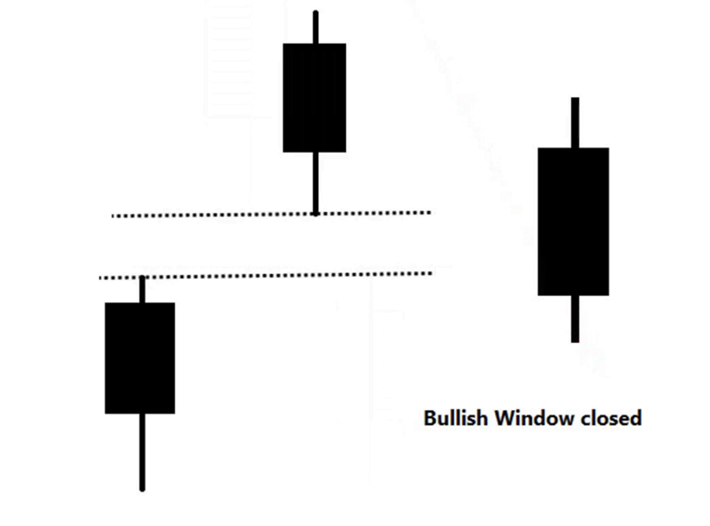 Windows - Definedge Shelf