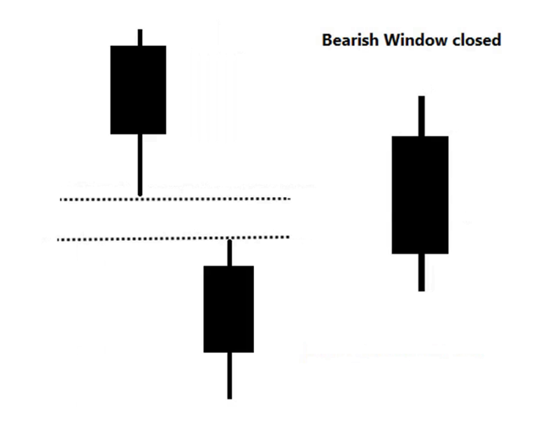 Windows - Definedge Shelf