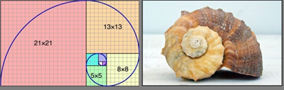 Fibonacci ratios - Definedge Shelf