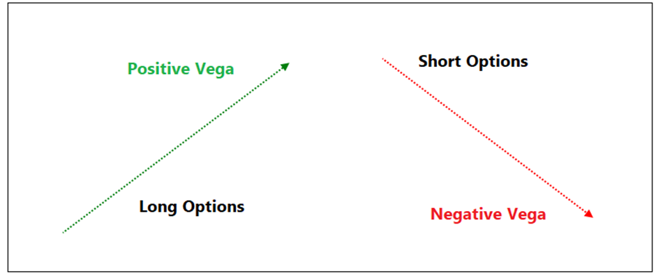 Vega Option Greeks | Definedge Securities Shelf