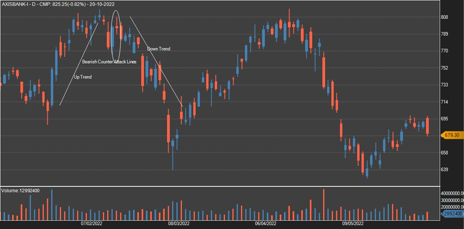 Bearish Counter-Attack Lines - Definedge Shelf