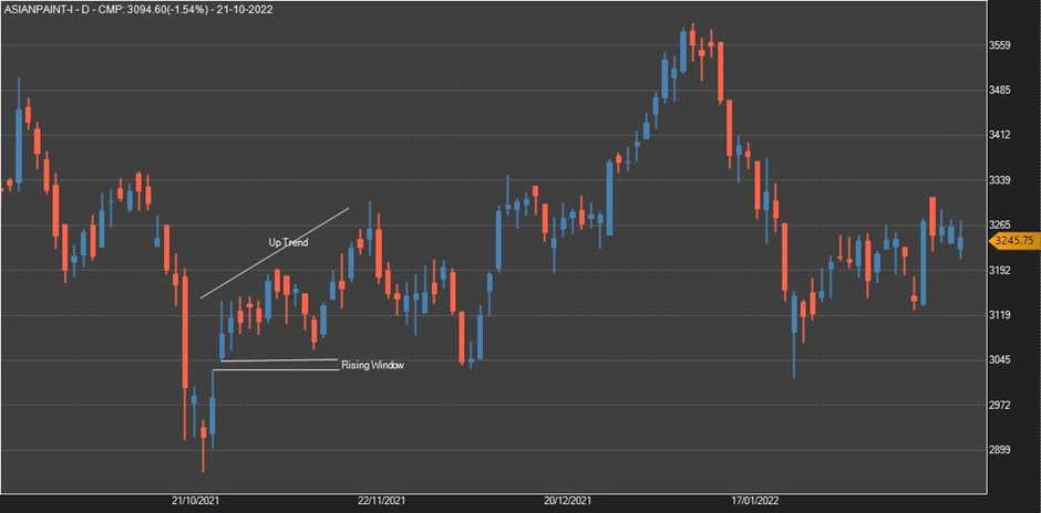 Windows - Definedge Shelf